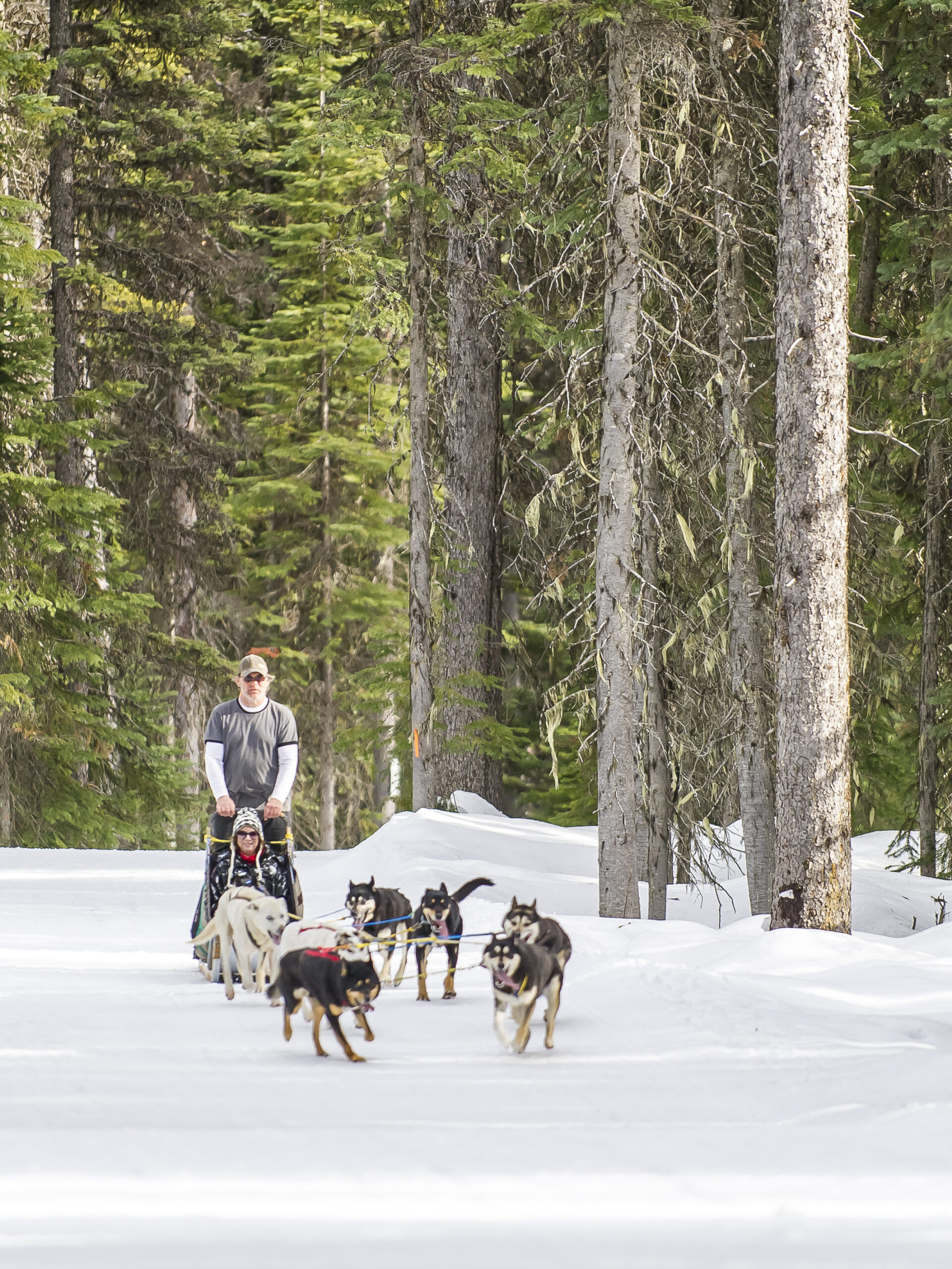 Big White Rentals | LMVR Chalet & Condo Accommodations